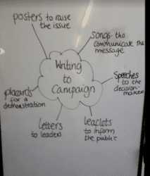 Fire Up Your Students with a Campaign Project