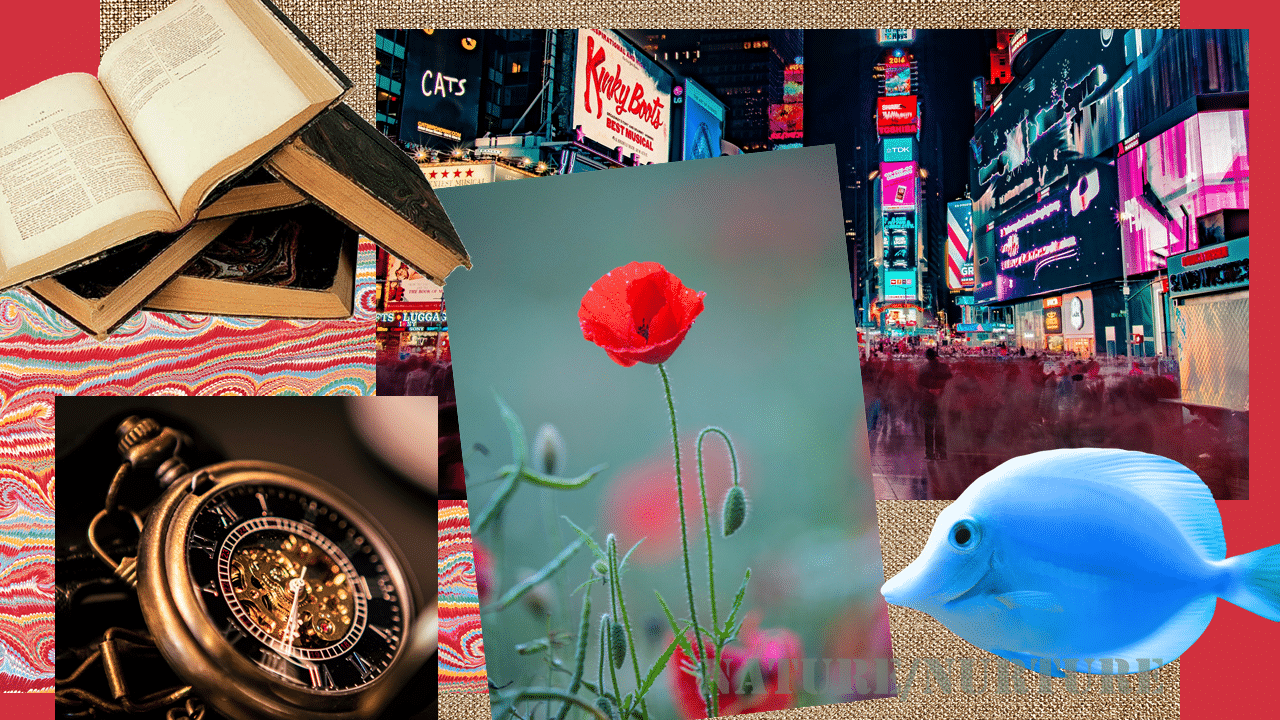 Make Units More Inspiring with Vision Boards | Cult of Pedagogy